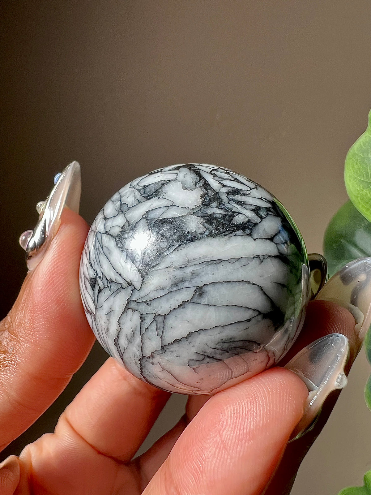 RARE: Pinolith (Pinolite) Sphere – Gemzy
