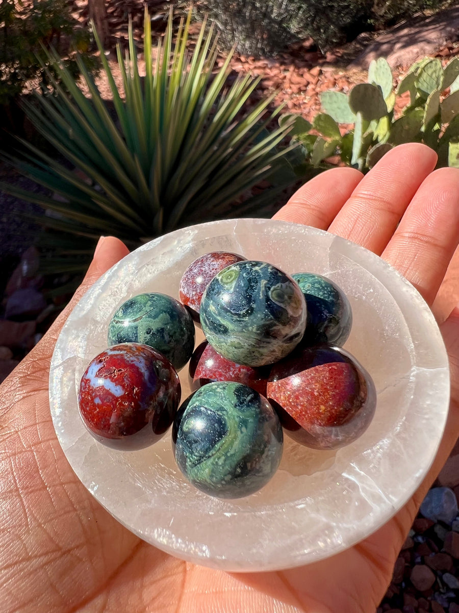 Crocodile Jasper & Fossil Coral Jasper Mini Duo – Gemzy